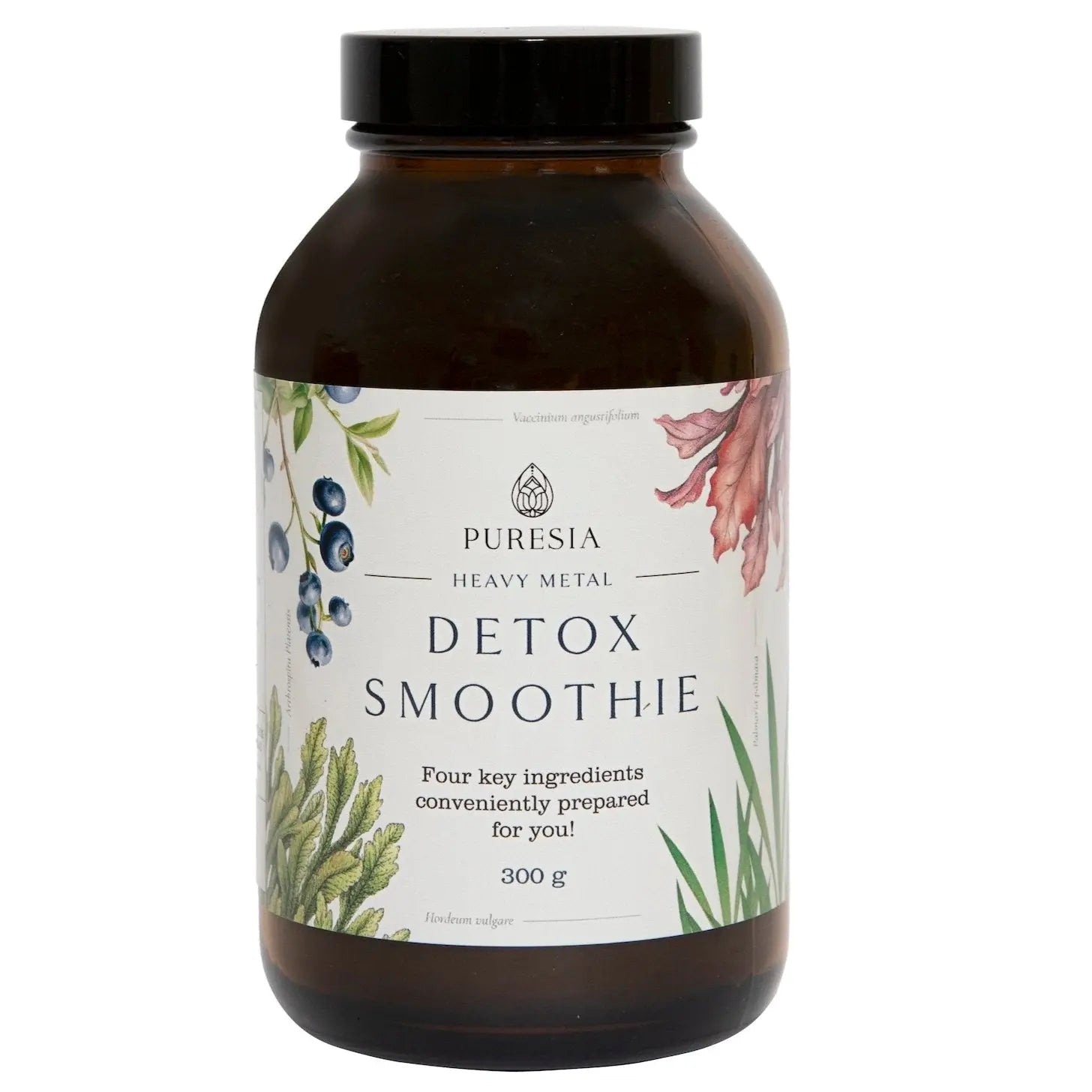 Heavy Metal Detox Smoothie Mix 300g - Medical Medium Blend – Puresia